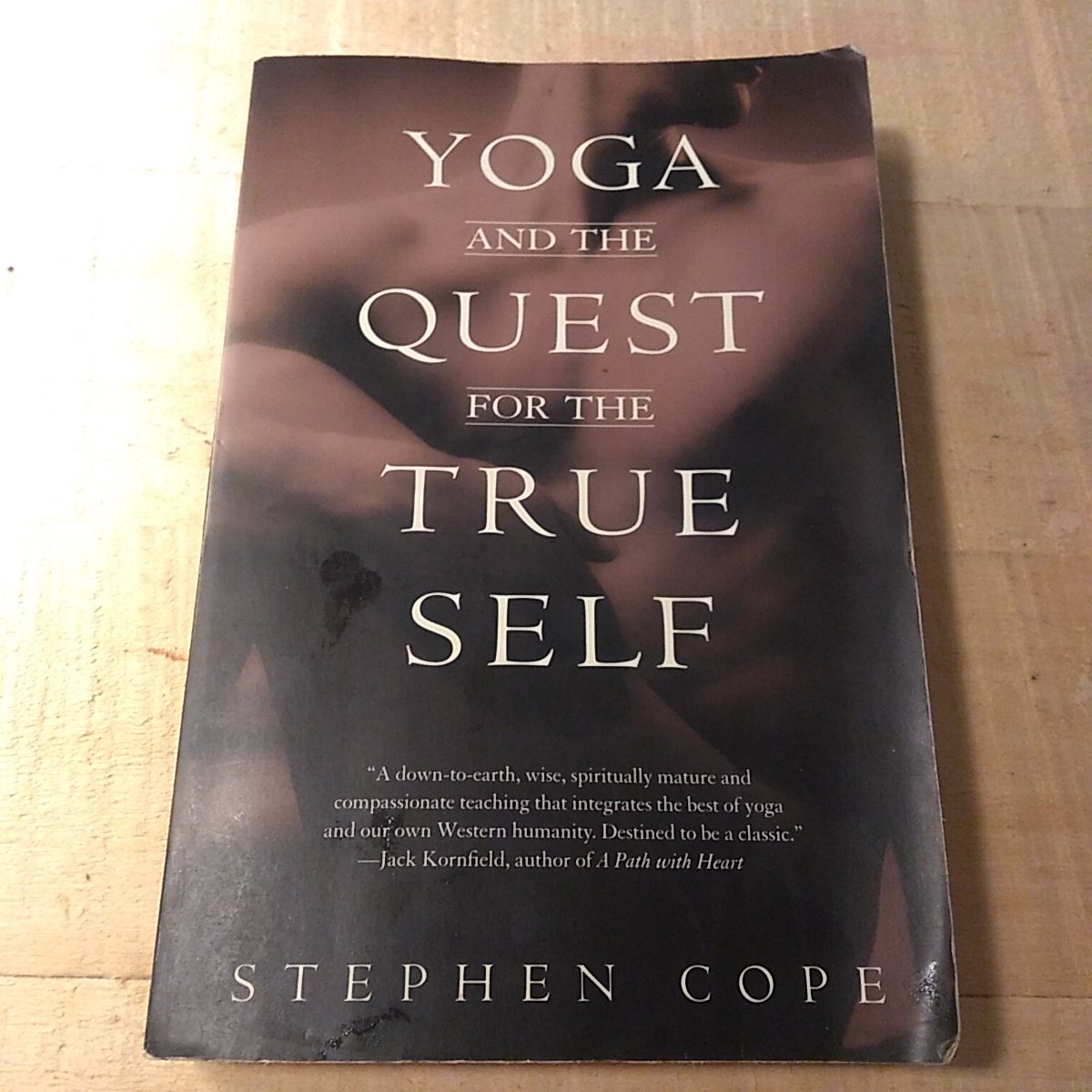 Book Review: Yoga and the Quest for the True Self by Stephen Cope | A ...